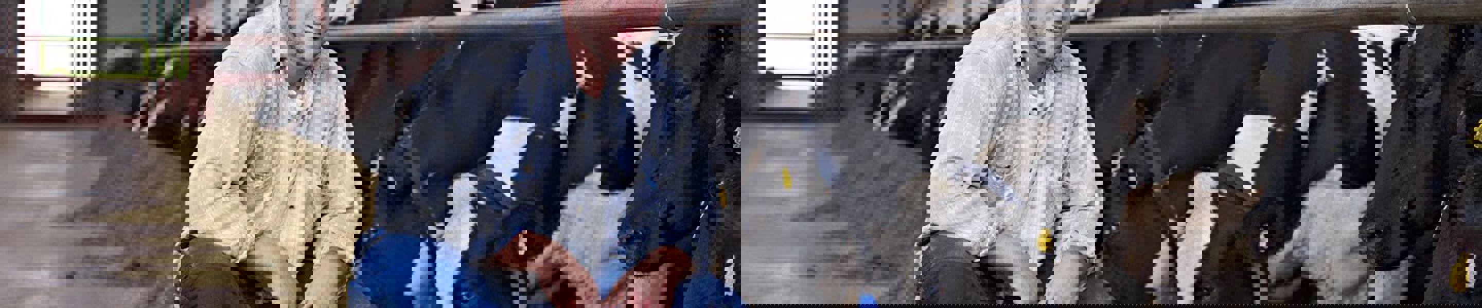 This is the Borchardt’s Why - DeLaval