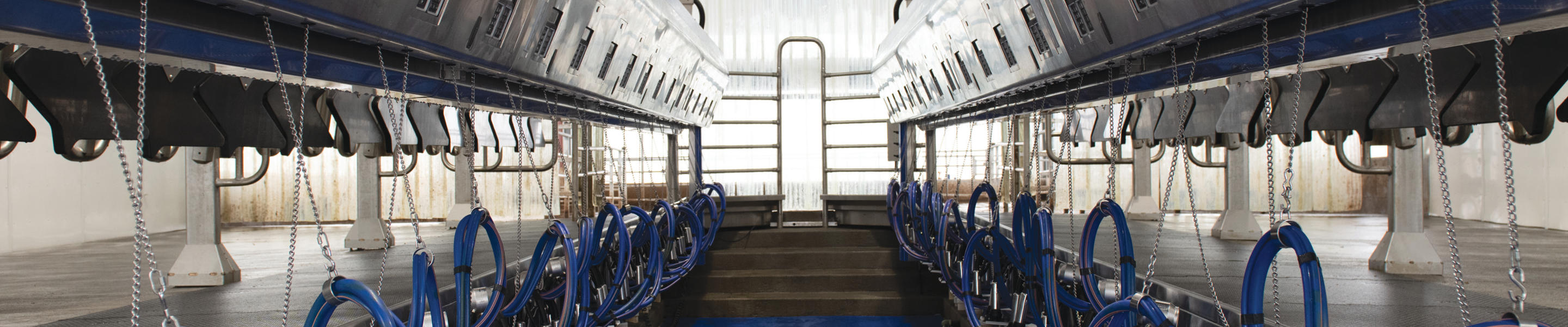 Introducing the DeLaval Parlour milking system P500 - DeLaval