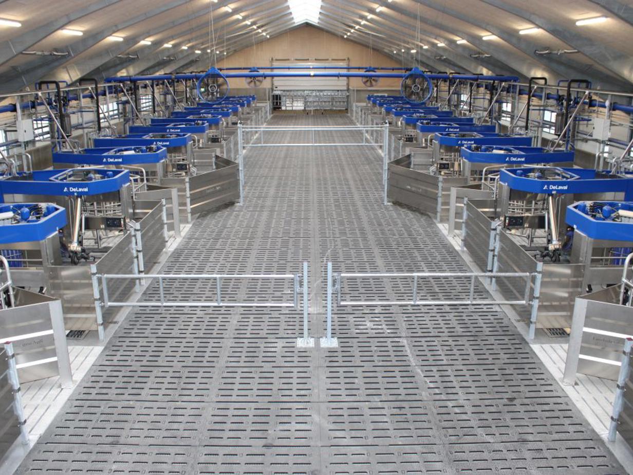 Eight VMS™ V300 robots milk 450 cows — A new setup in Italy