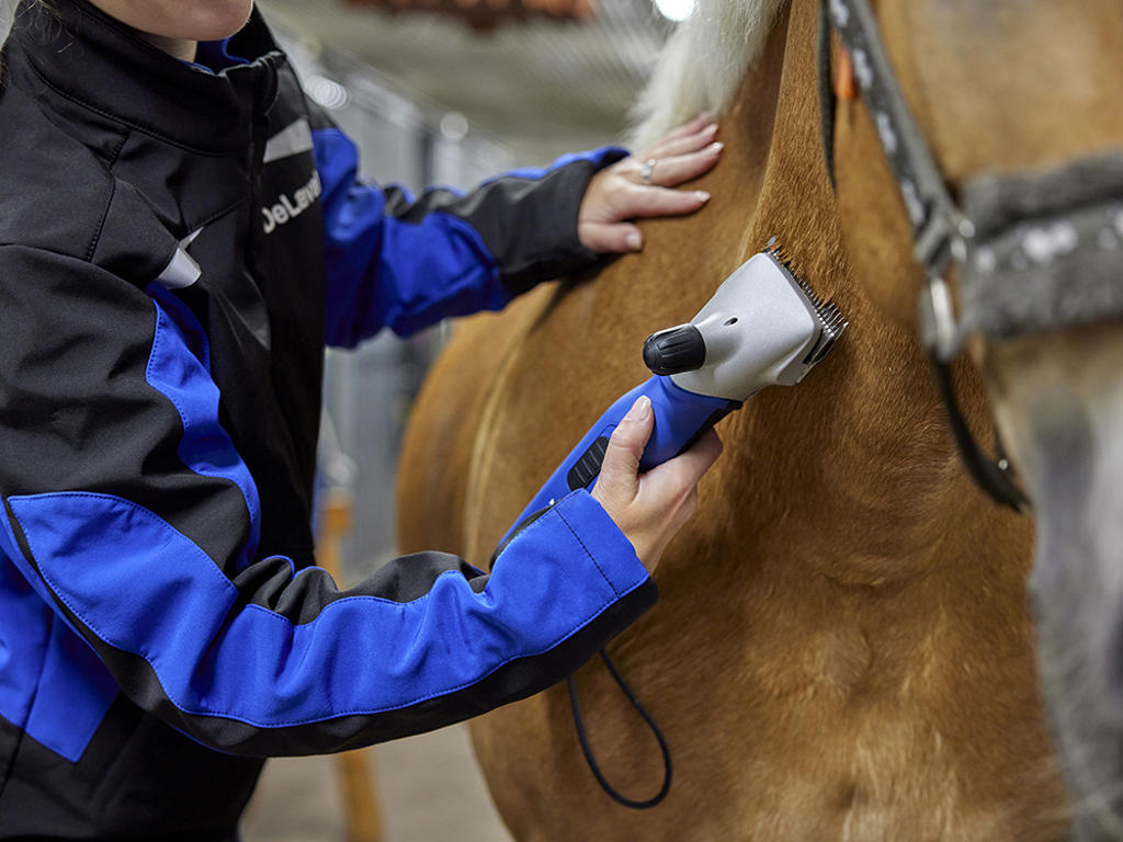 DeLaval elklipper HCP65 - DeLaval