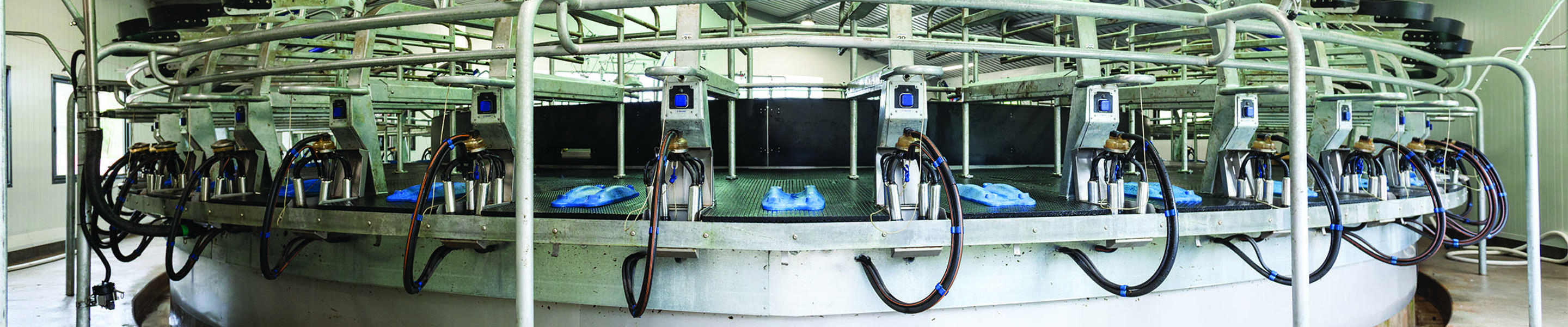 DeLaval Rotary E100 - DeLaval