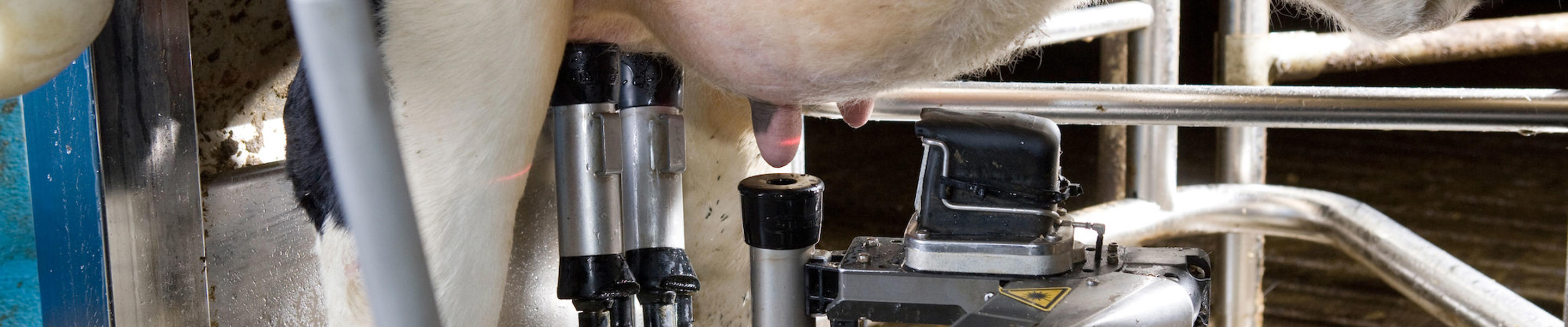 Uruchomienie VMS V300 w Polsce - DeLaval