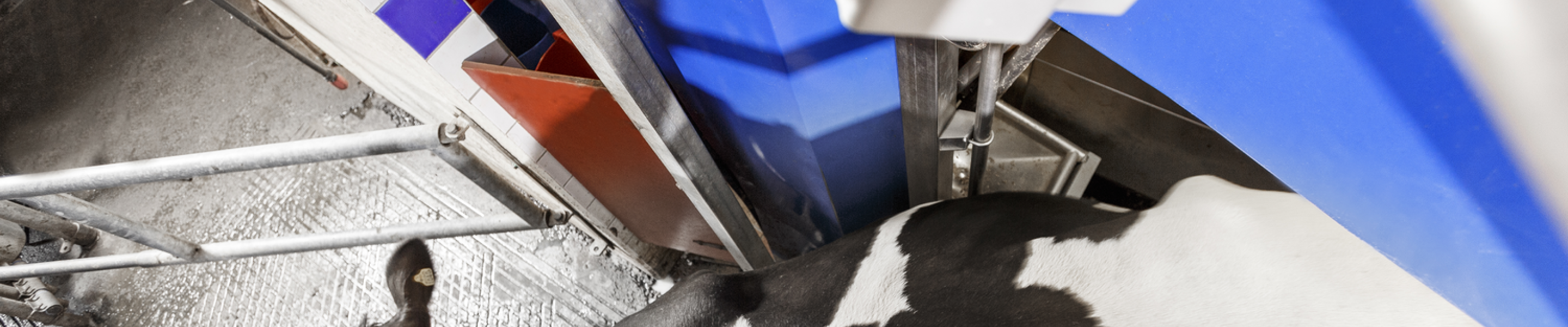 DeLaval BCS System optimizes herd health and breeding - DeLaval