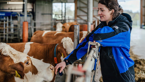 Offene Stellen bei DeLaval GmbH - DeLaval