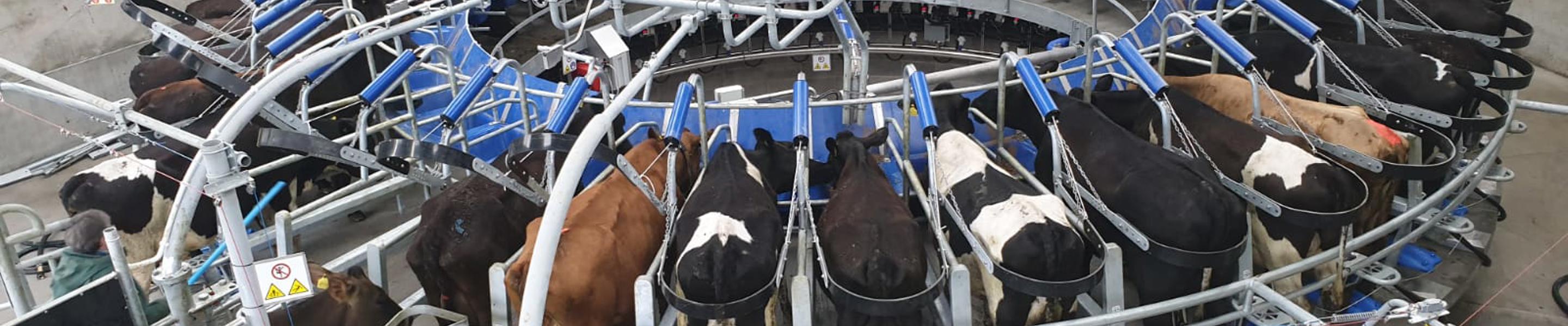 DeLaval install first E100 Rotary in UK - DeLaval
