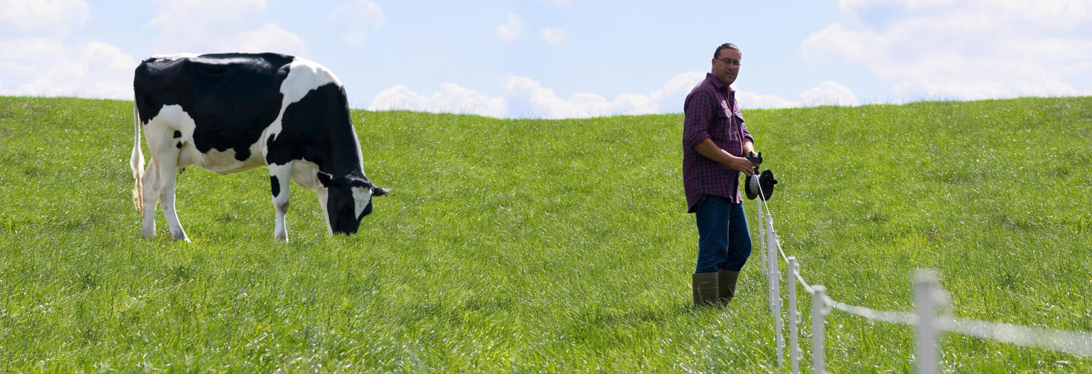 Teat dips and detergents - DeLaval