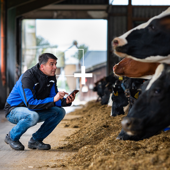 DeLaval Plus - DeLaval