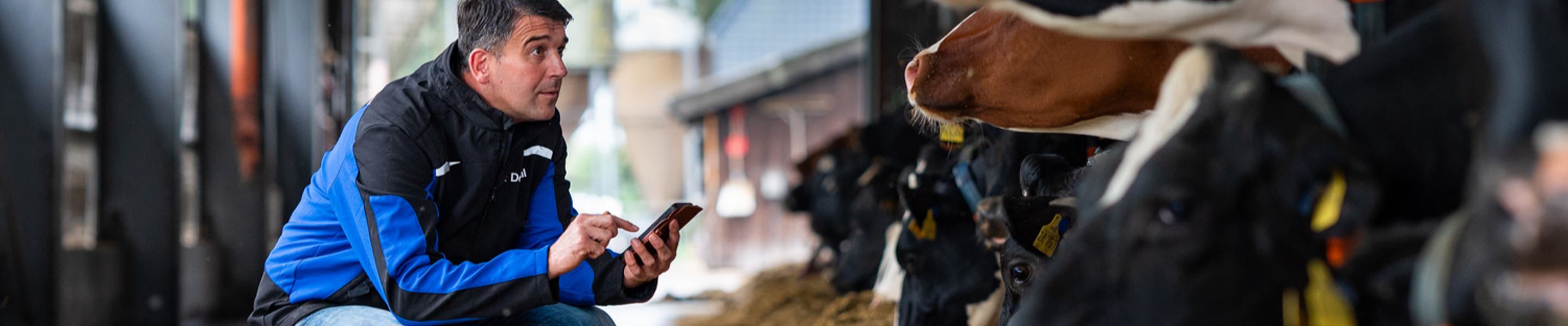 Introducing DeLaval Plus: A New Era of Dairy Farm Intelligence - DeLaval
