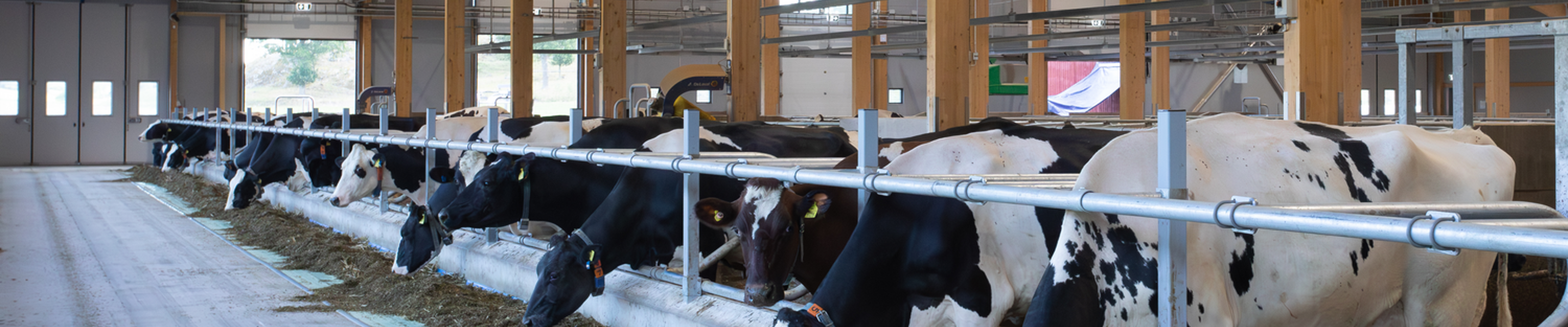 La expansión de Hamra Farm marca una nueva era para la innovación de ...