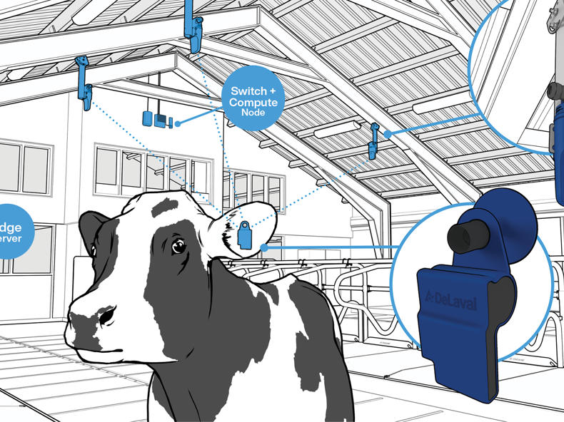 DeLaval Plus Verhaltensanalyse - DeLaval