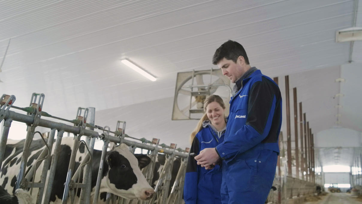 DeLaval Plus Behaviour Analysis - DeLaval