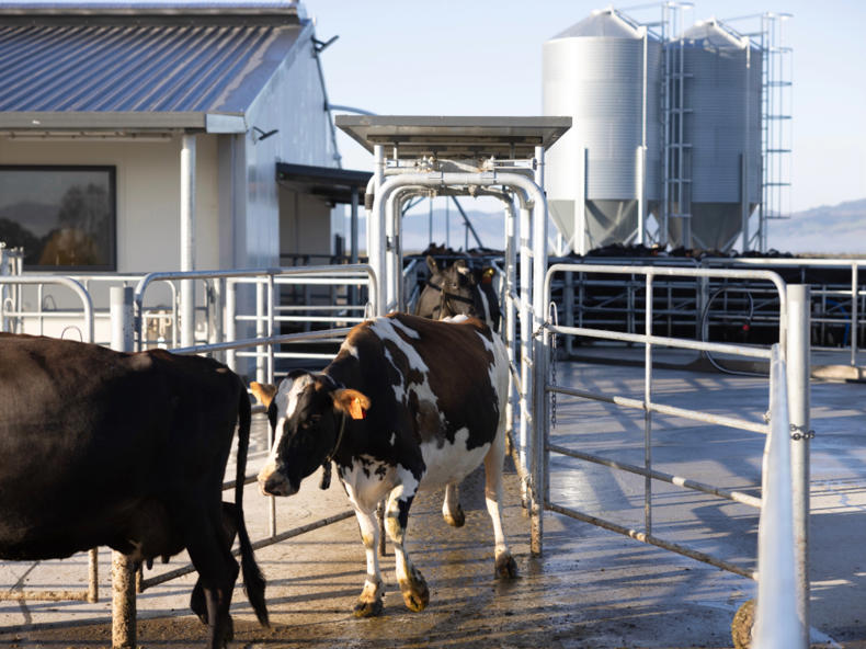 DeLaval VMS™ Series - DeLaval