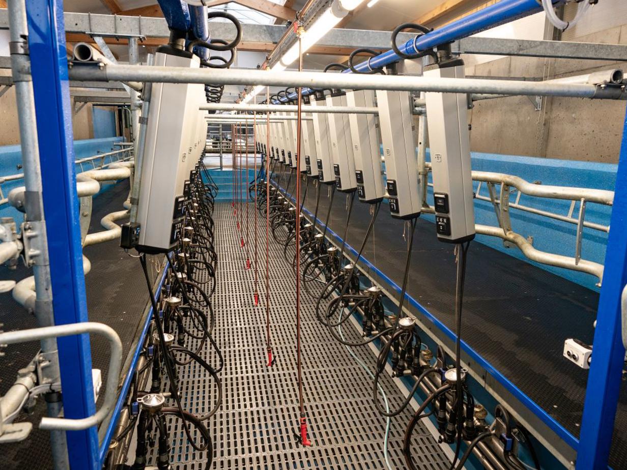 드라발 헤링본 팔러 HB50 - DeLaval