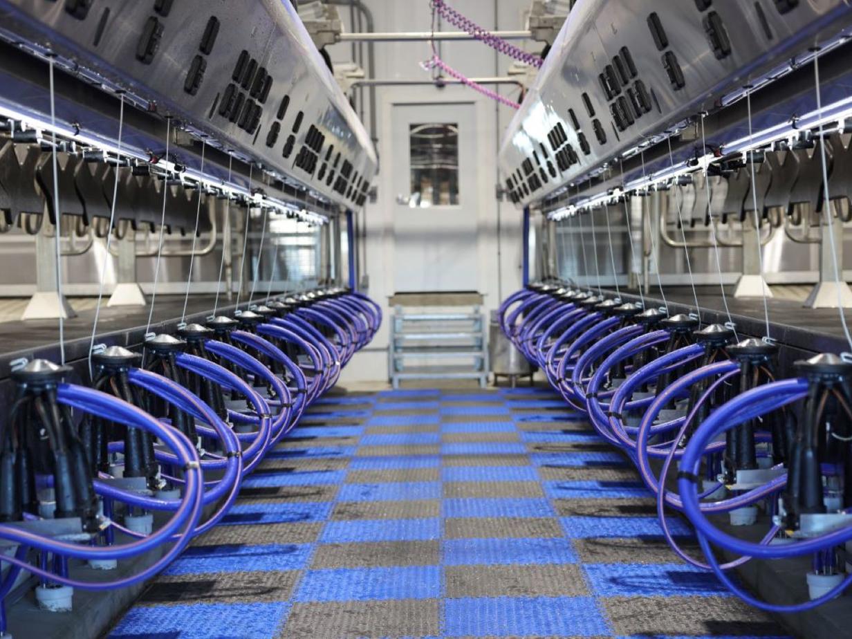 Parallel Parlours - DeLaval