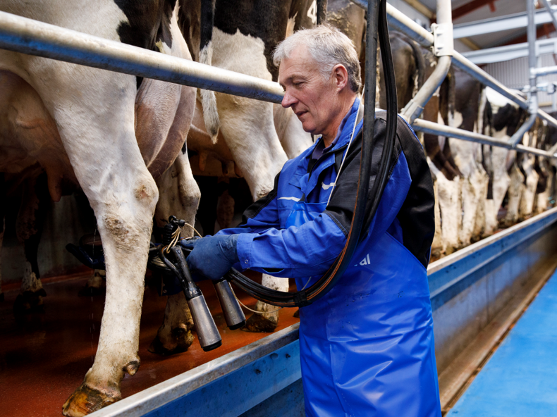 Melkstallen - DeLaval