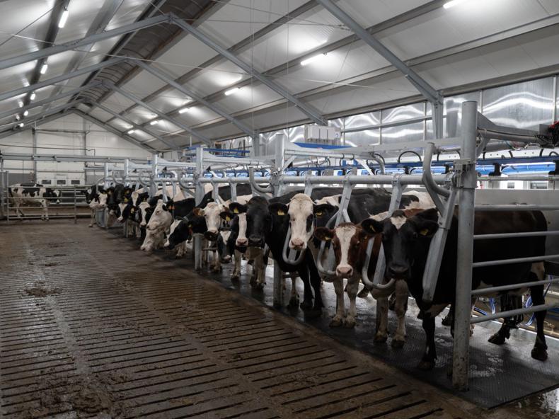 DeLaval Parlour milking system P300 - DeLaval