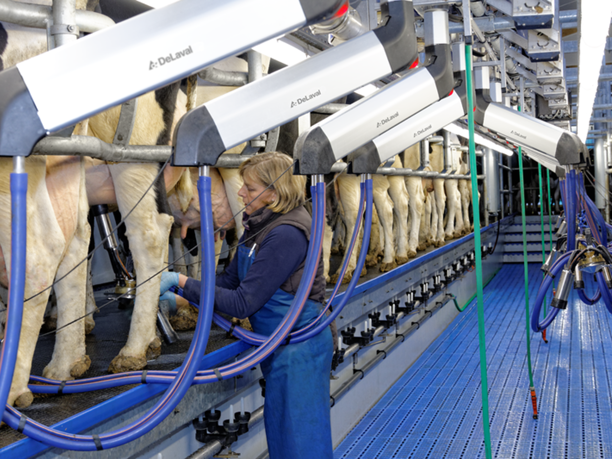 DeLaval HB50 MidiLine - DeLaval