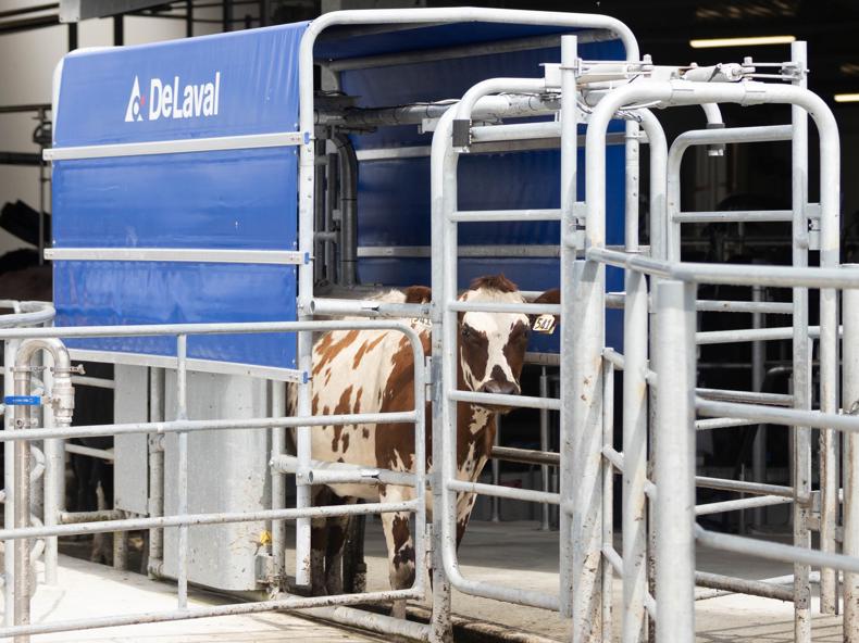 Verbeter jouw dierenwelzijn - DeLaval