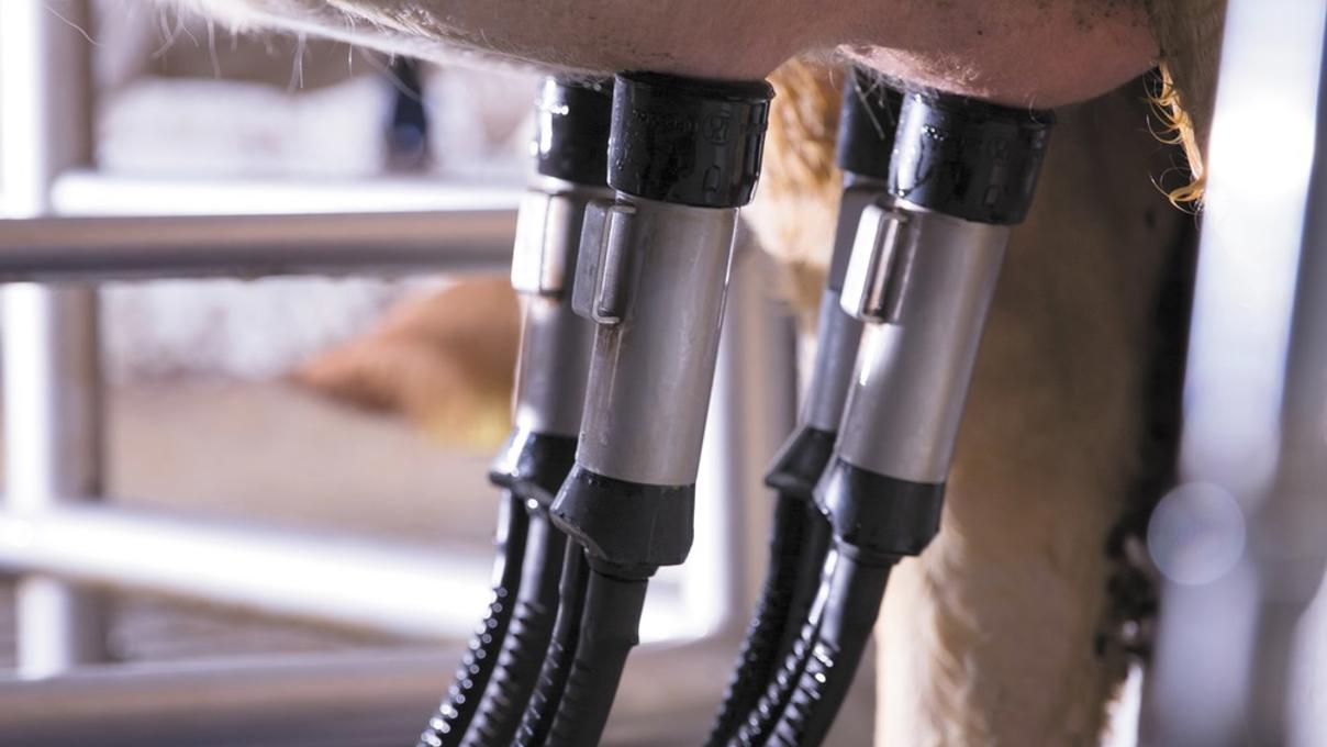 Flow-Responsive™ milking voor VMS™ V300 serie - DeLaval