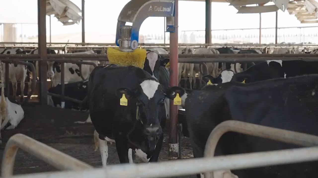 Testimonials - DeLaval