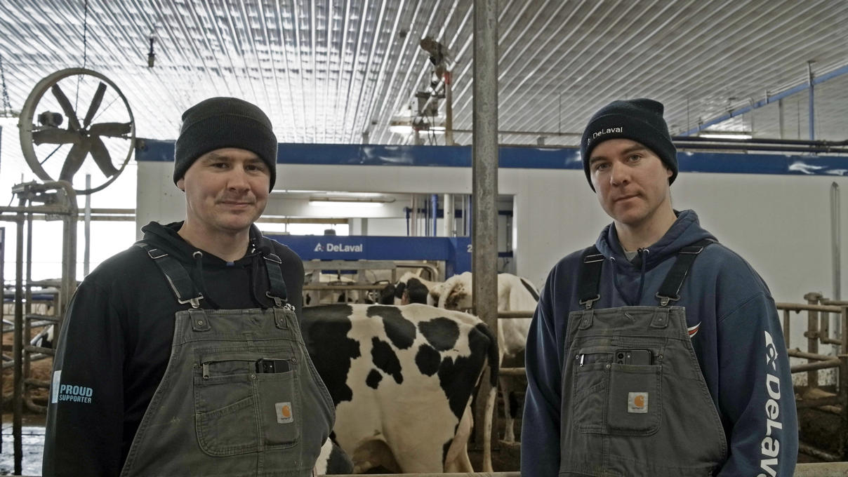 Analiza Zachowania DeLaval Plus - DeLaval