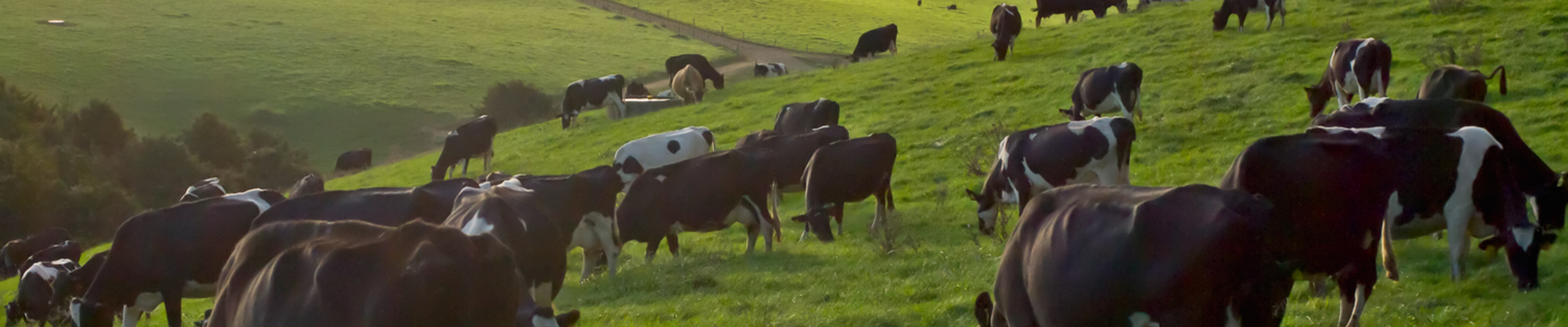 DeLaval Media Resources - DeLaval