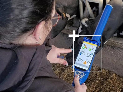 DeLaval Plus Behaviour Analysis - DeLaval