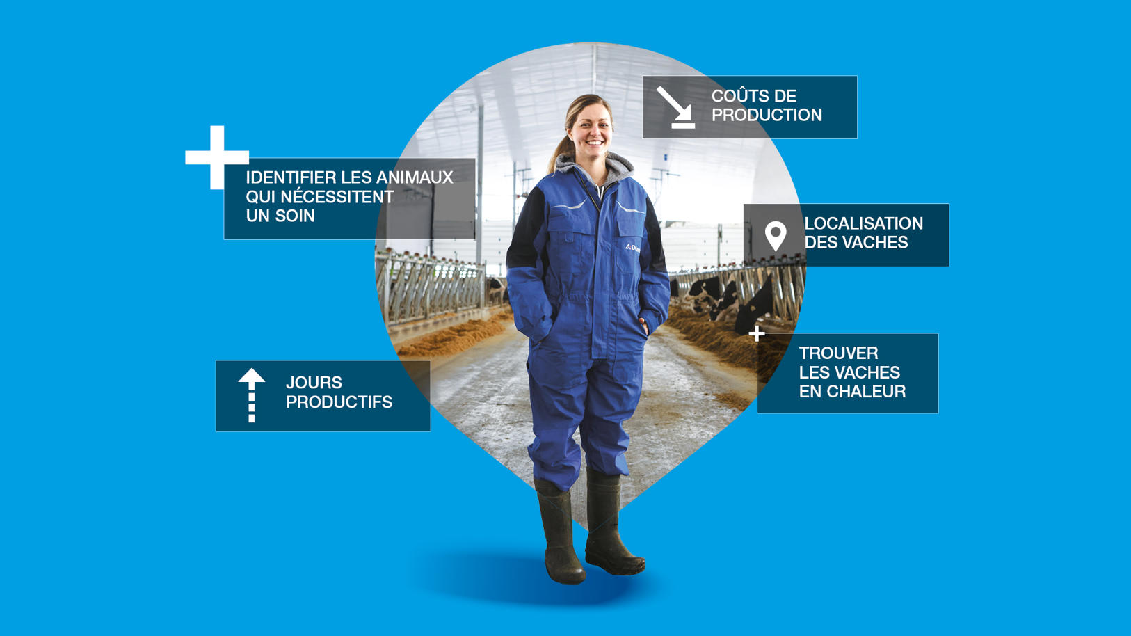 DeLaval Plus Behaviour Analysis - DeLaval