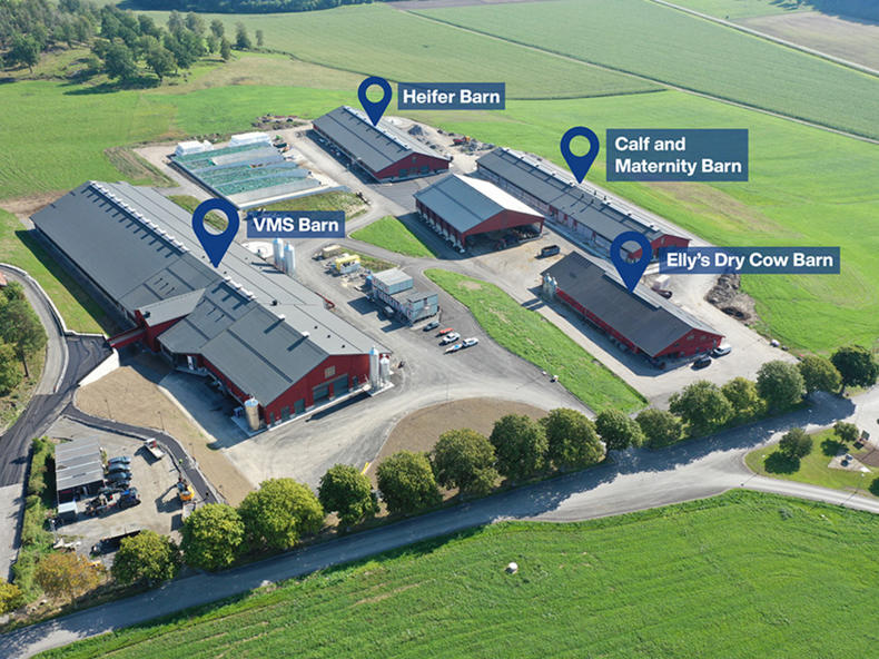 DeLaval inaugure l’agrandissement de la ferme Hamra : une avancée majeure pour l’innovation agricole