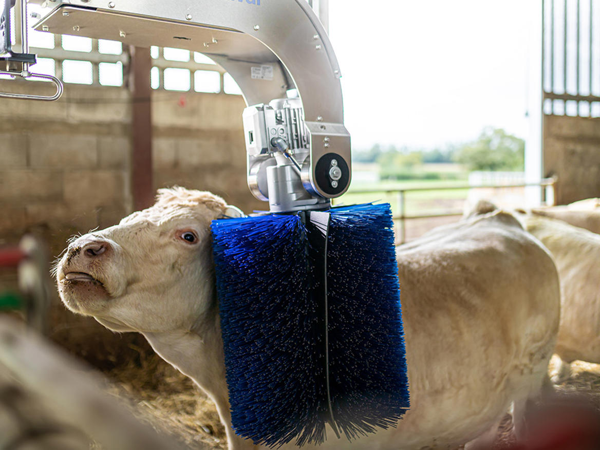 Brosses à vaches - DeLaval