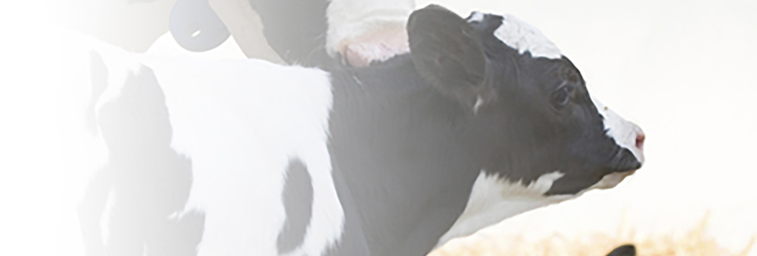 DeLaval RePro™ - DeLaval