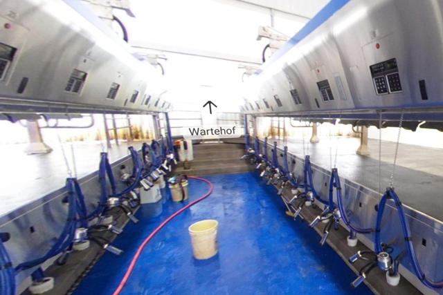 DeLaval Parallelmelkstand P500 - DeLaval