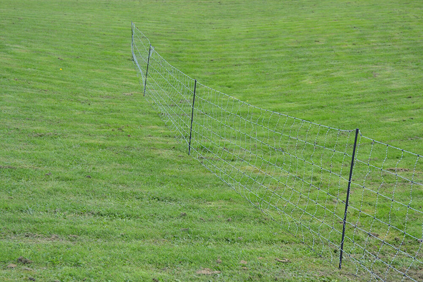 DeLaval sheep net BW - DeLaval