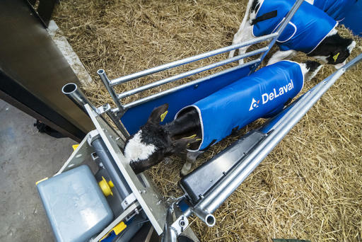 Feeding - DeLaval