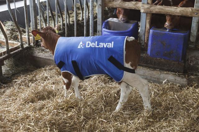 Calf coat - DeLaval