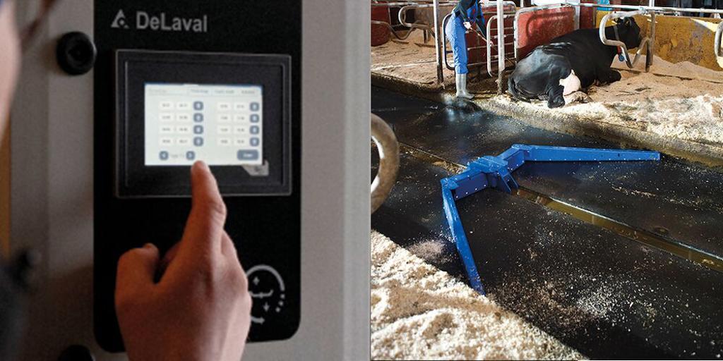 DeLaval Tırnak Bakımı - DeLaval