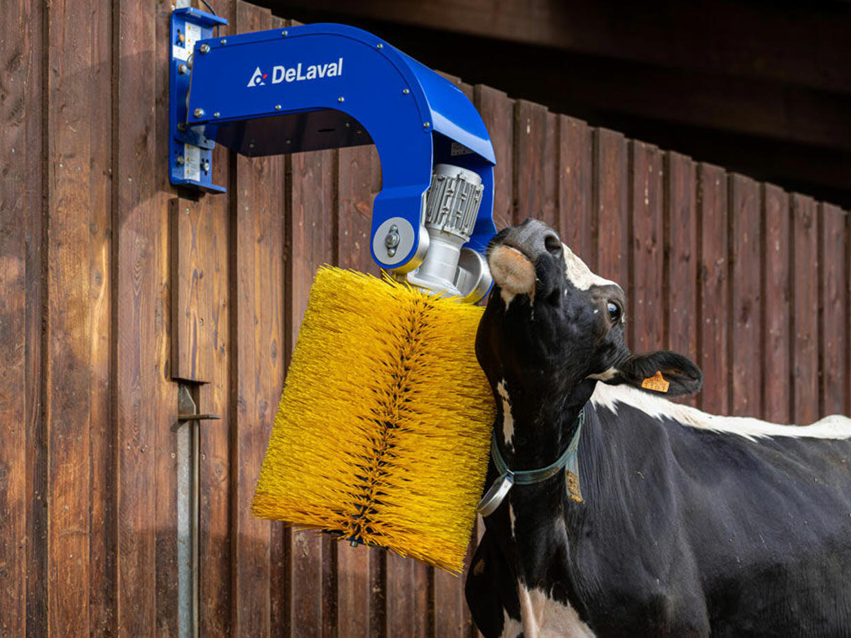 DeLaval Brosse à vaches rotative SCB - DeLaval