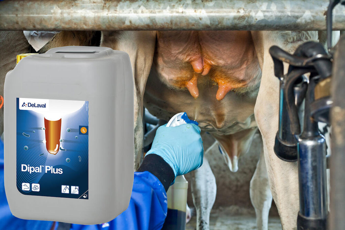 Dipal™ Plus - DeLaval