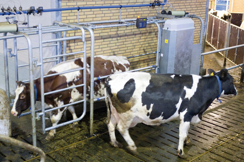 Sort gates - DeLaval