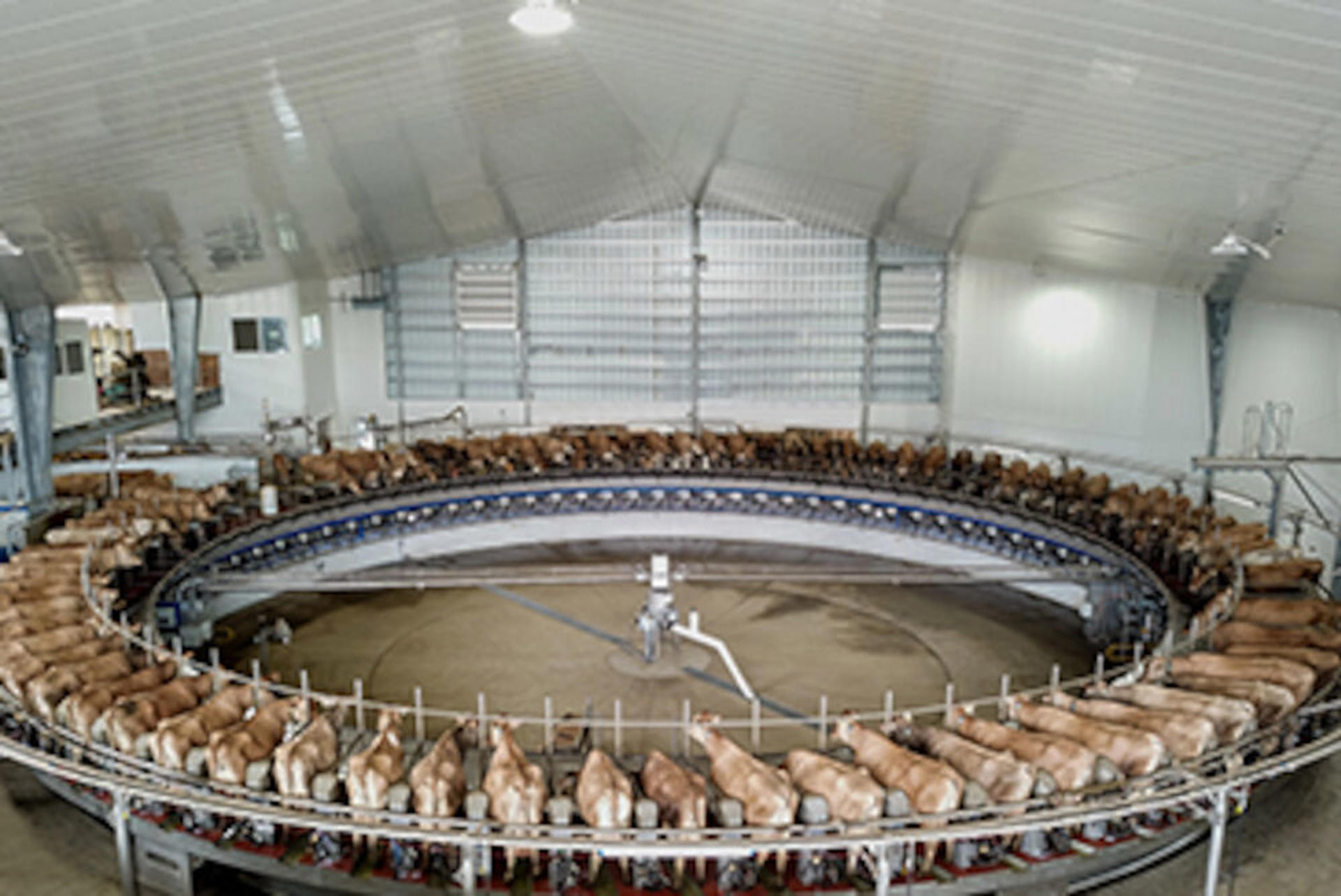 利拉伐转盘式挤奶系统旗舰 E500 - DeLaval