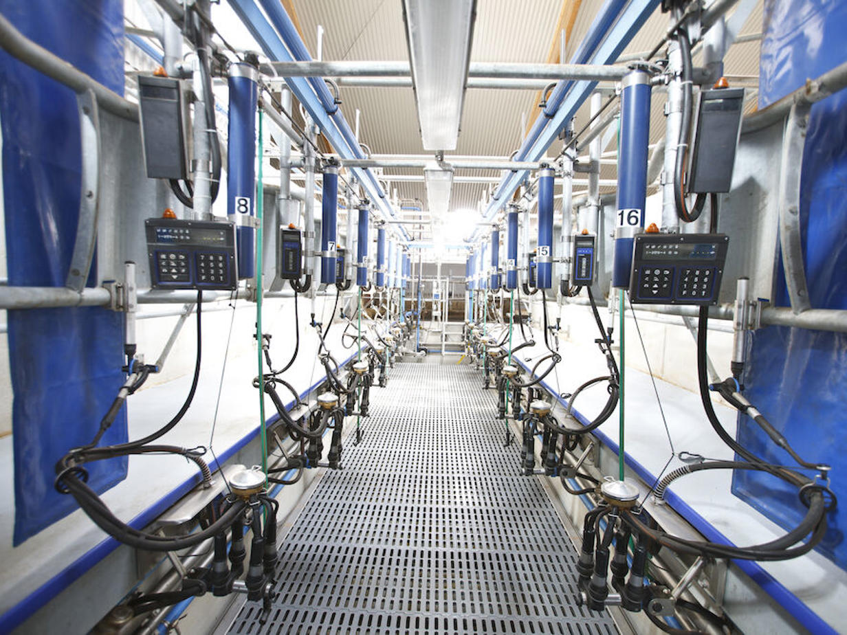 DeLaval herringbone parlour HB30 - DeLaval