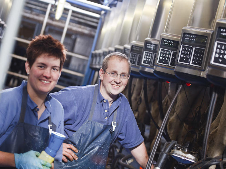 DeLaval herringbone parlour HB50 - DeLaval