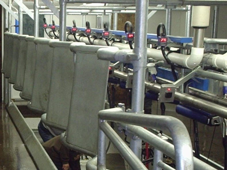 DeLaval herringbone parlor HB50 - DeLaval