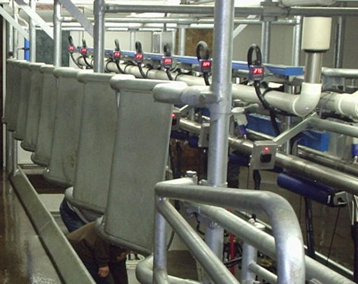 DeLaval herringbone parlor HB50 - DeLaval