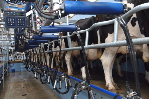 Salle de traite en épi DeLaval HB50 - DeLaval