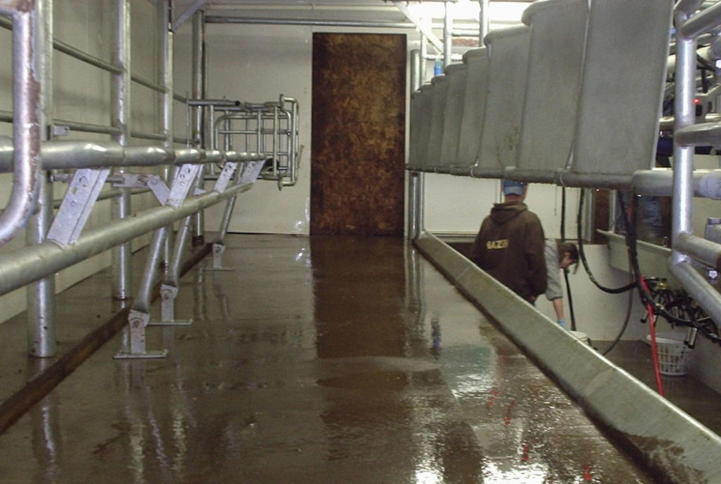 DeLaval herringbone parlor HB50 - DeLaval