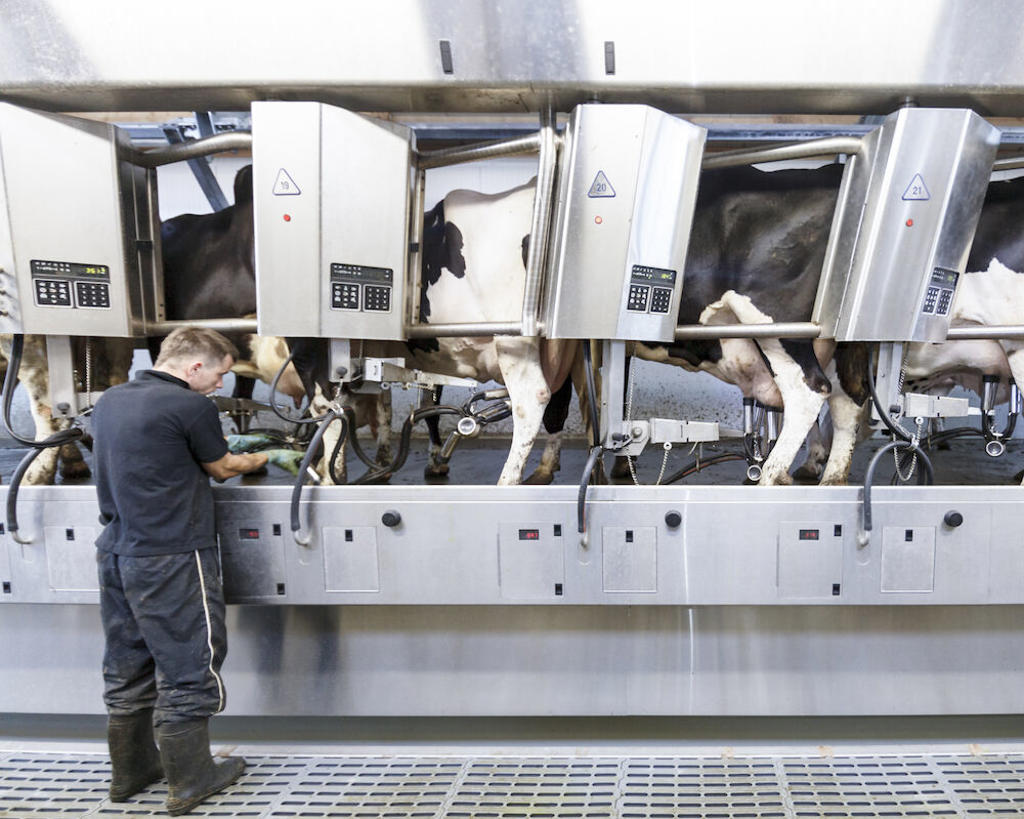 DeLaval balıkkılçığı HDHB - DeLaval