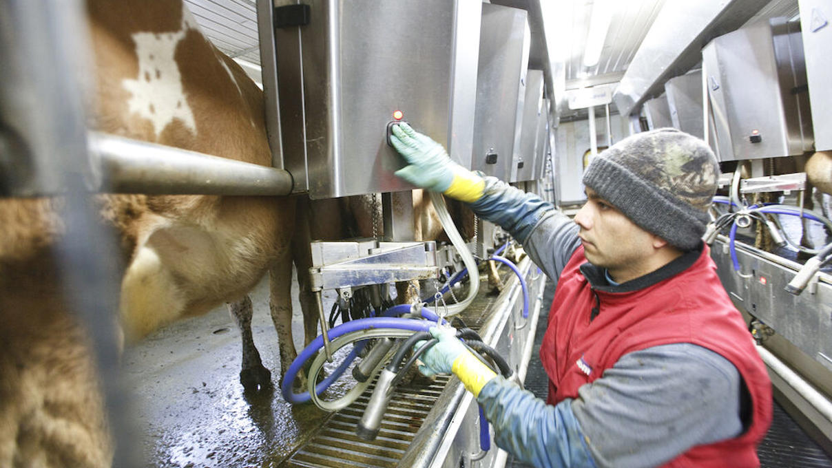 DeLaval herringbone HDHB - DeLaval