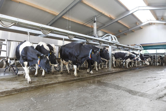 DeLaval herringbone HDHB - DeLaval