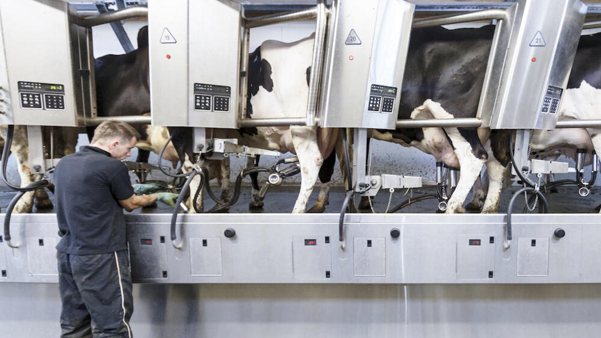 DeLaval Herringbone HDHB - DeLaval